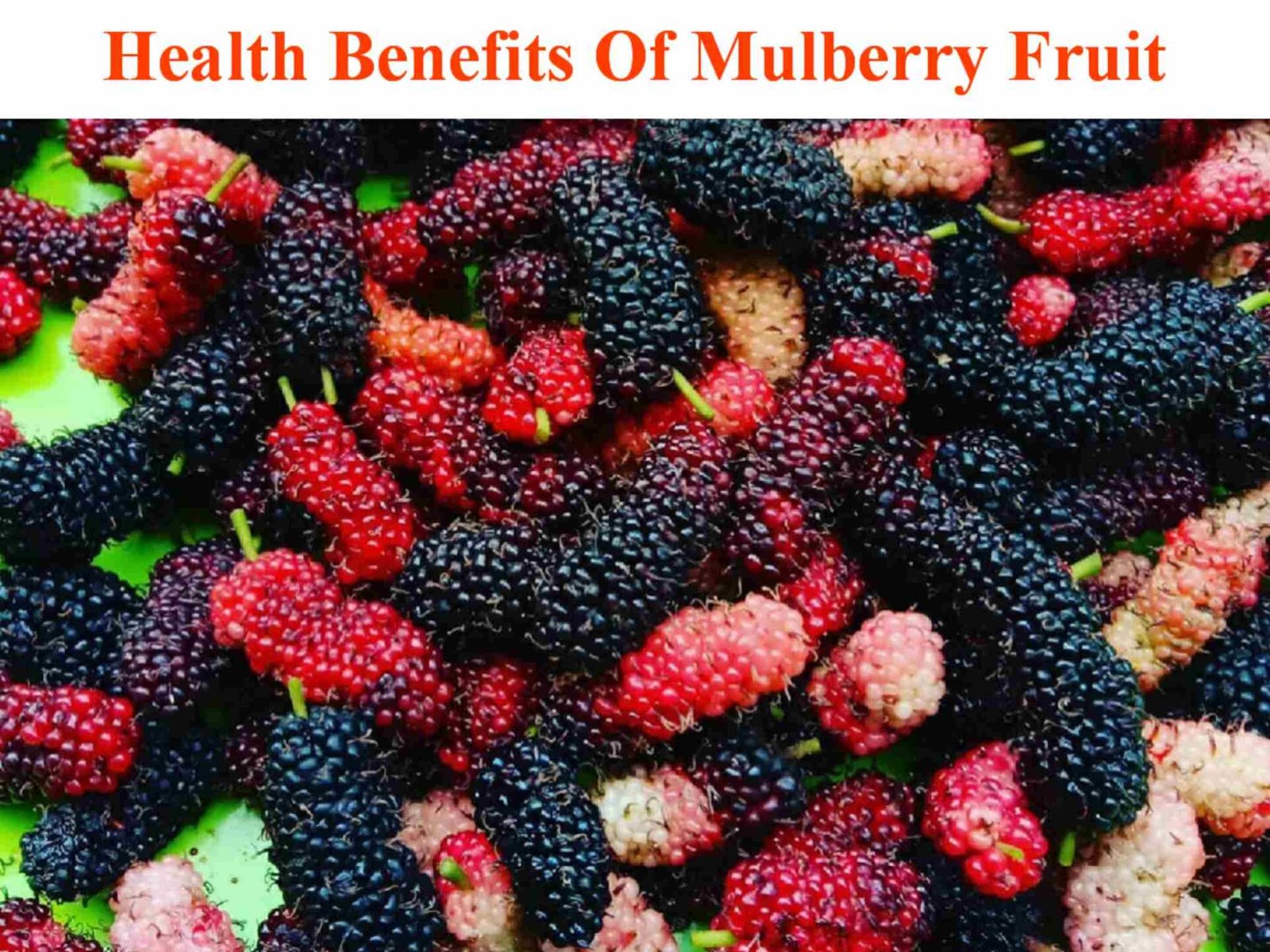 mulberry fruit : మల్బరీ పండ్ల తో ఆరోగ్య ప్రయోజనాలు - Telugusitara