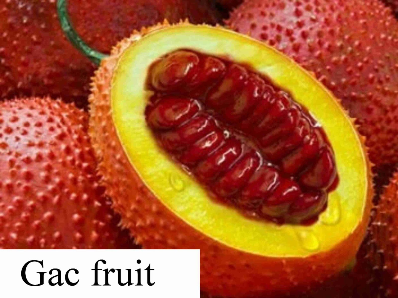 Gac fruit : గాక్ ఫ్రూట్ తినడం వల్ల కలిగే ఉపయోగాలు - Telugusitara