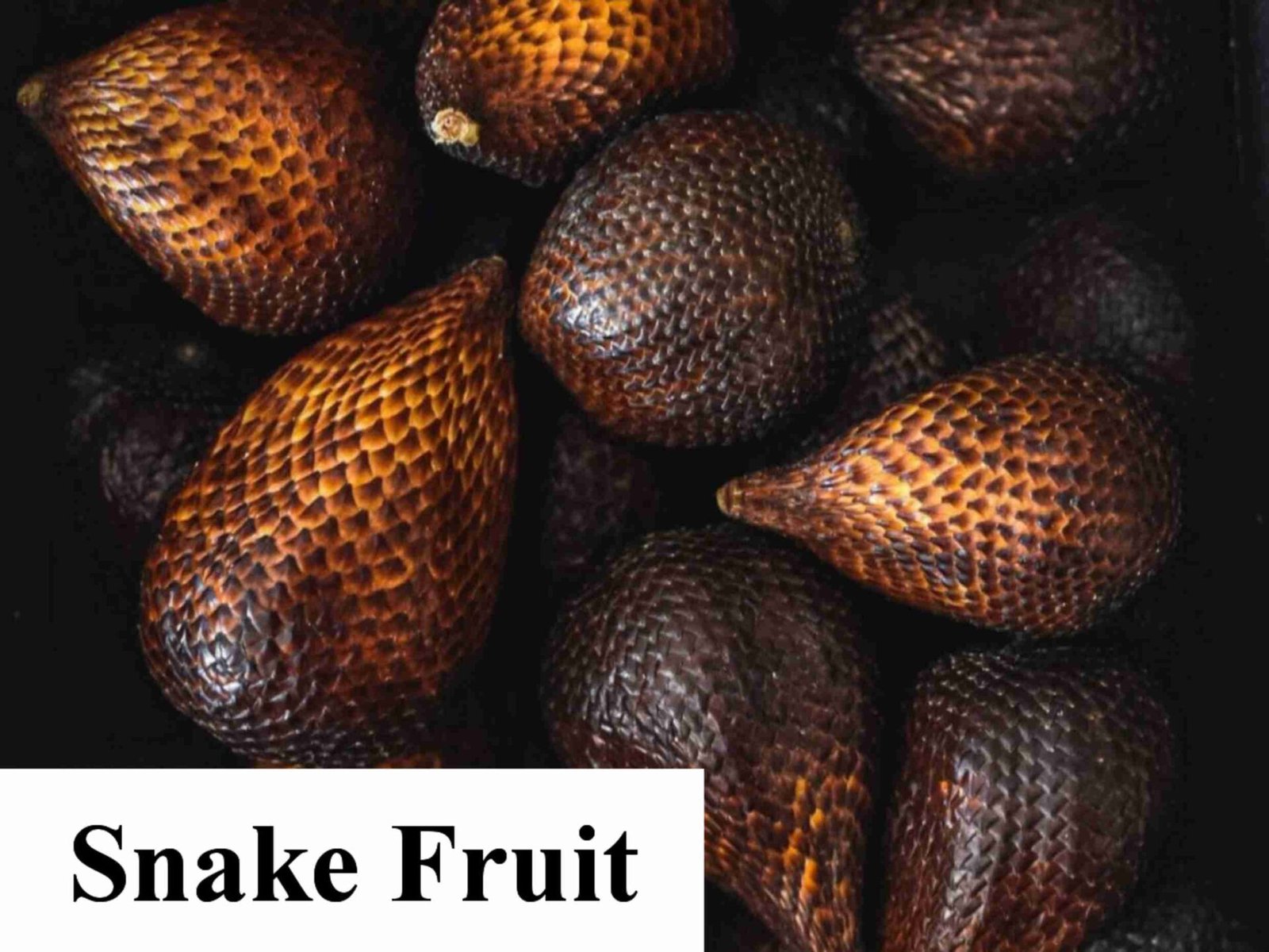Snake fruit : స్నేక్ ఫ్రూట్ తినడం వల్ల కలిగే ఉపయోగాలు - Telugusitara